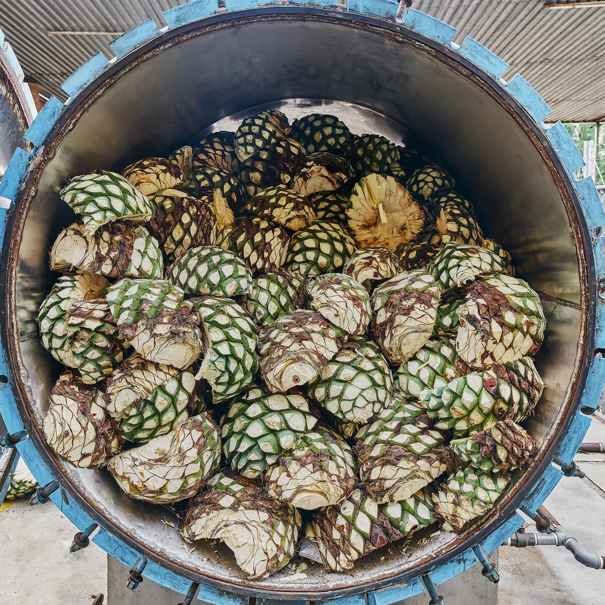 The History of Tequila: From Ancient Roots to Modern Masterpieces ...